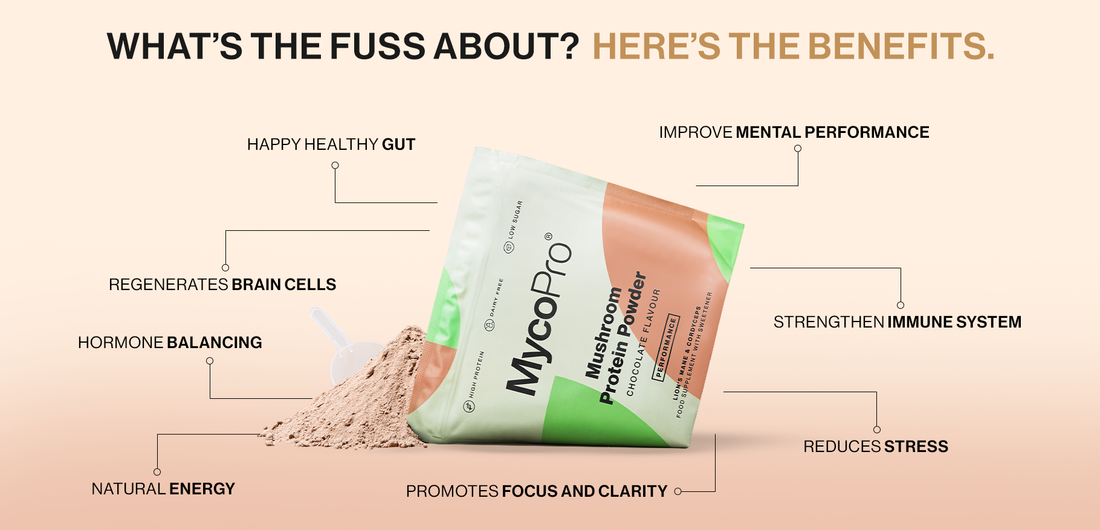 MycoPro - The UK's Only Mushroom Protein Powder